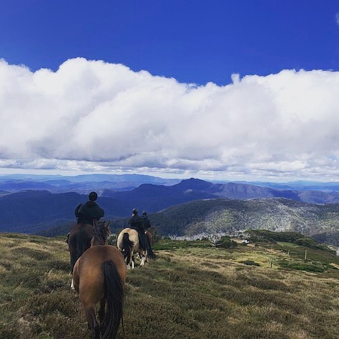 Mansfield - Mansfield Mt Buller, Victoria