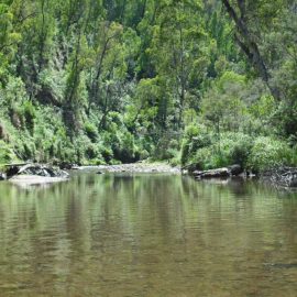 Hiking & Walking - Mansfield Mt Buller, Victoria