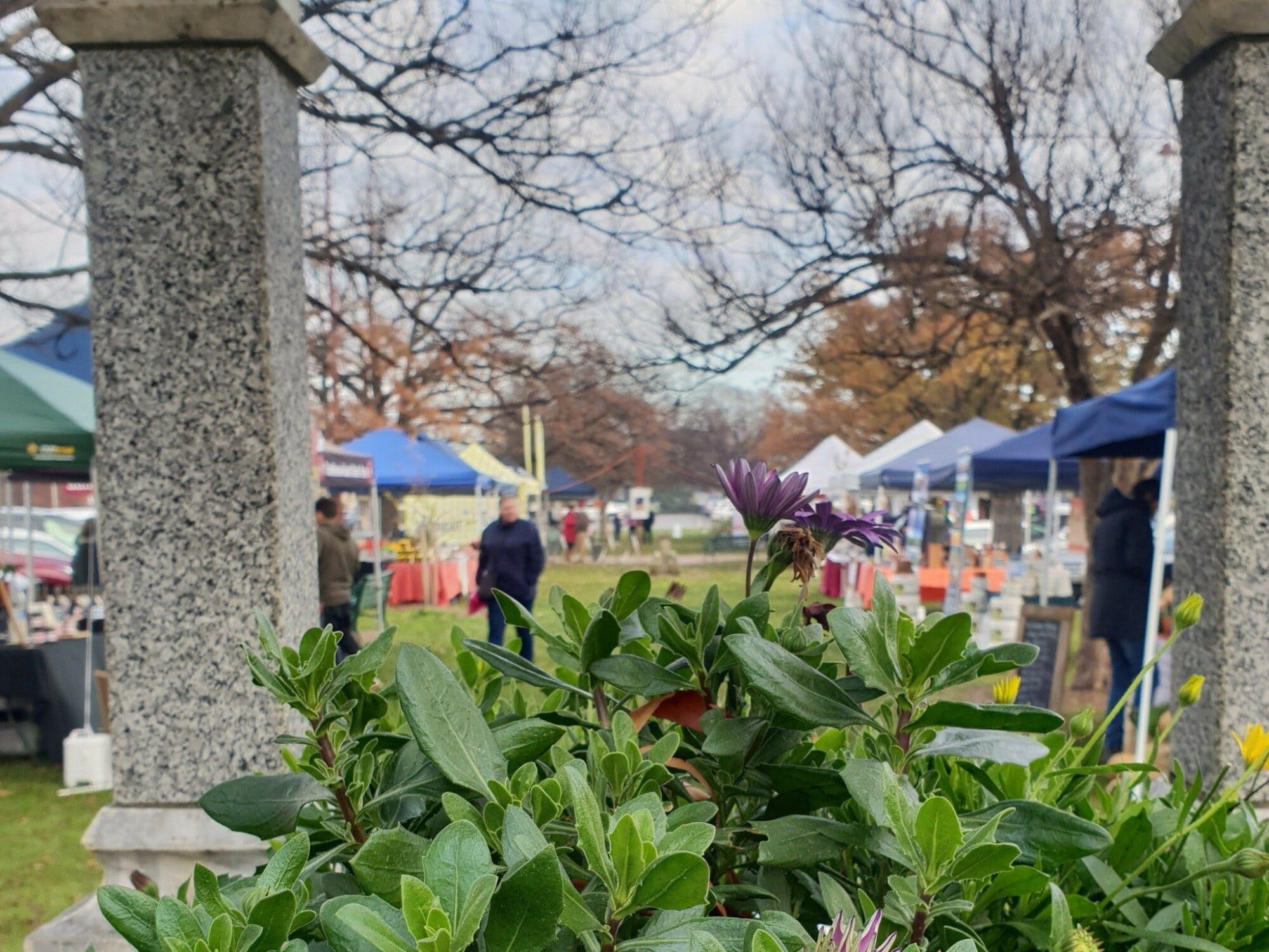 Shopping & Markets - Mansfield Mt Buller, Victoria
