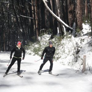 Merijig to Merimbah - Mansfield Mt Buller, Victoria