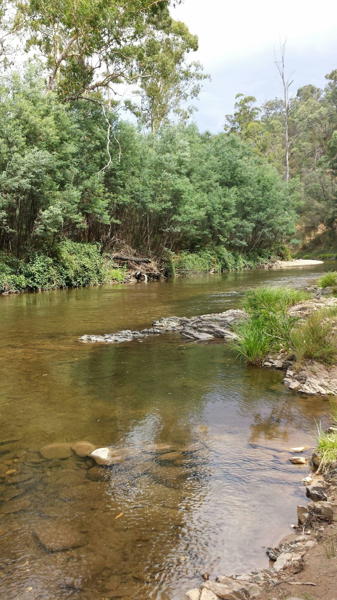 Kevington Woods Point - Mansfield, Victoria