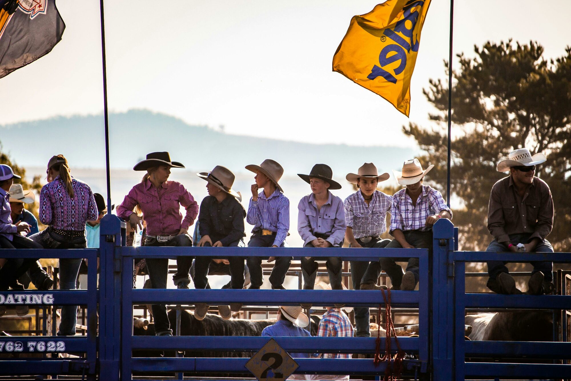 Search festivals and events in Mansfield Mt Buller, Victoria