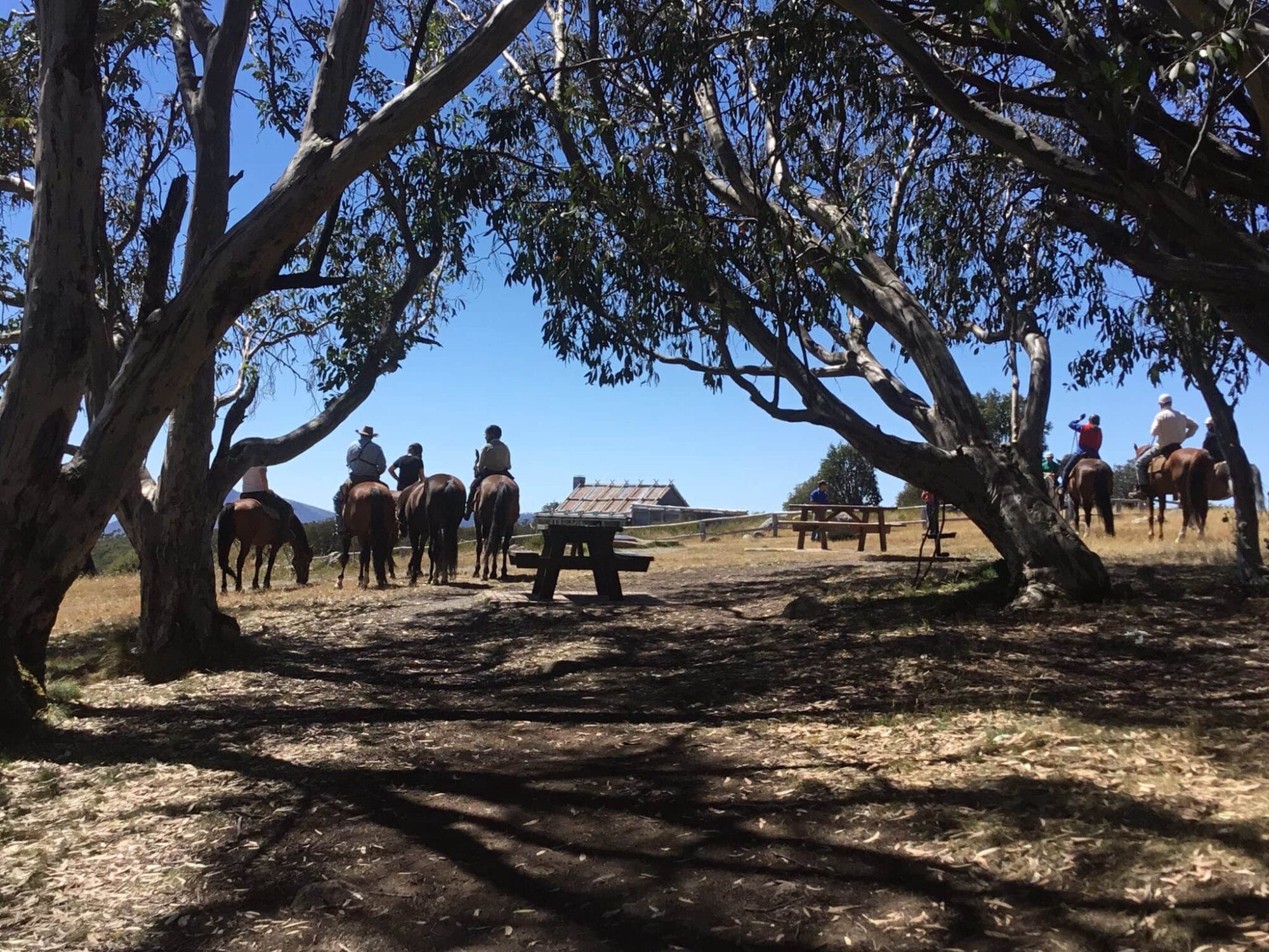 Merijig to Merimbah - Mansfield Mt Buller, Victoria