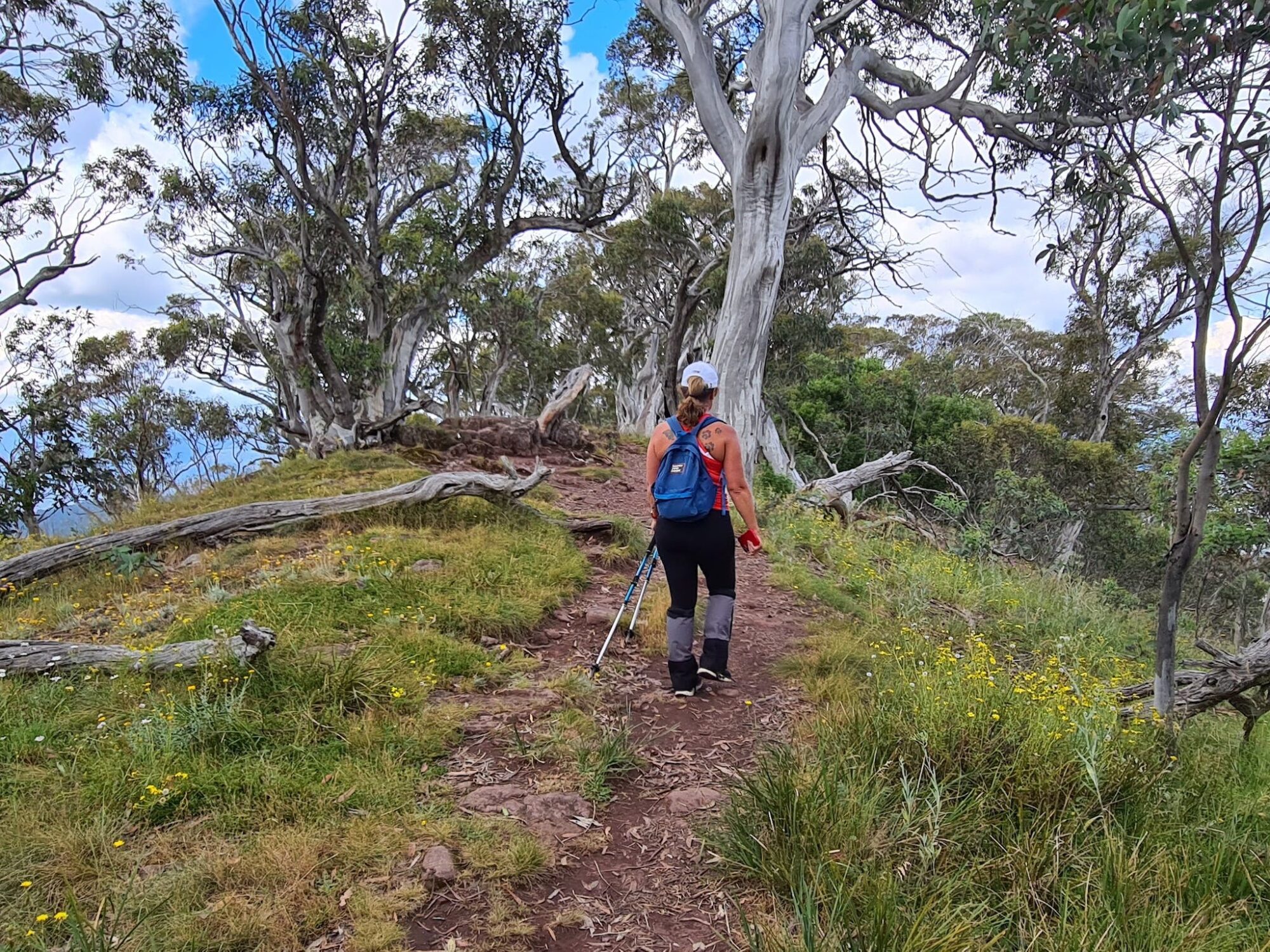 Merijig to Merimbah - Mansfield Mt Buller, Victoria
