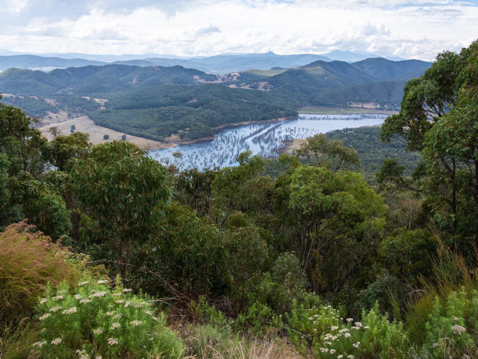 Mansfield - Mansfield Mt Buller, Victoria