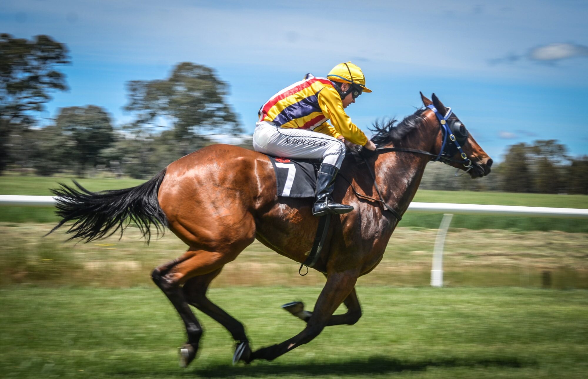 Search festivals and events in Mansfield Mt Buller, Victoria