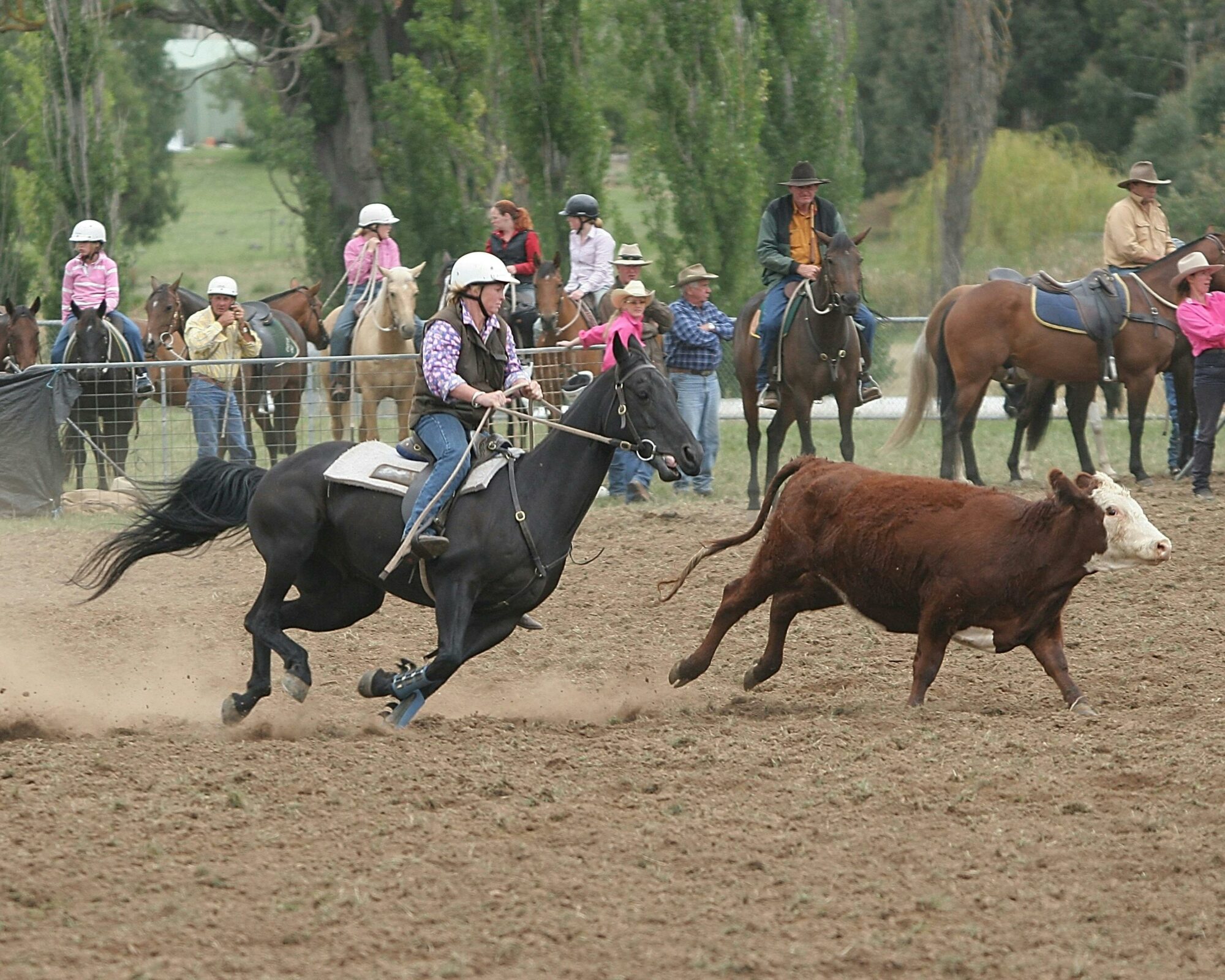 Merijig to Merimbah - Mansfield Mt Buller, Victoria